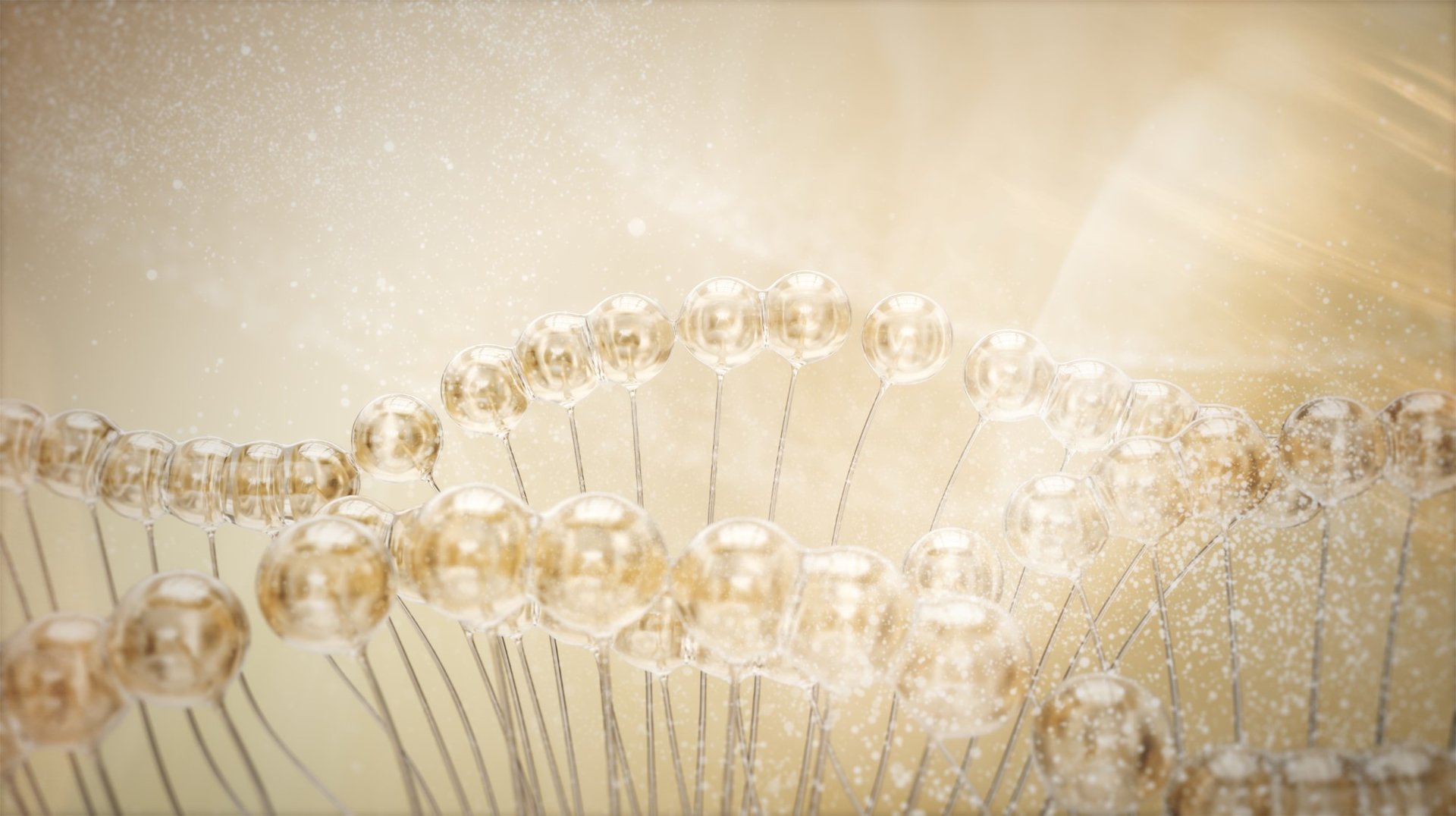 Colagénio: o que é e o seu efeito na pele | L'Oréal Paris